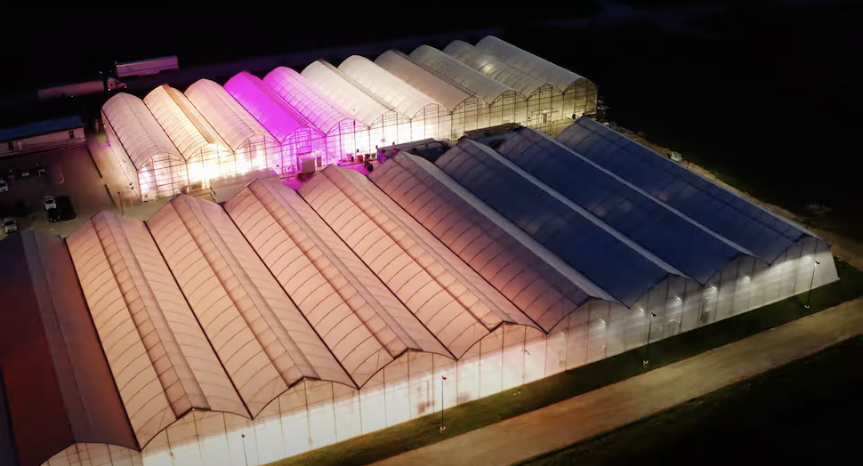 Is Vertical Farming Profitable? A Comprehensive Analysis | Eden Green