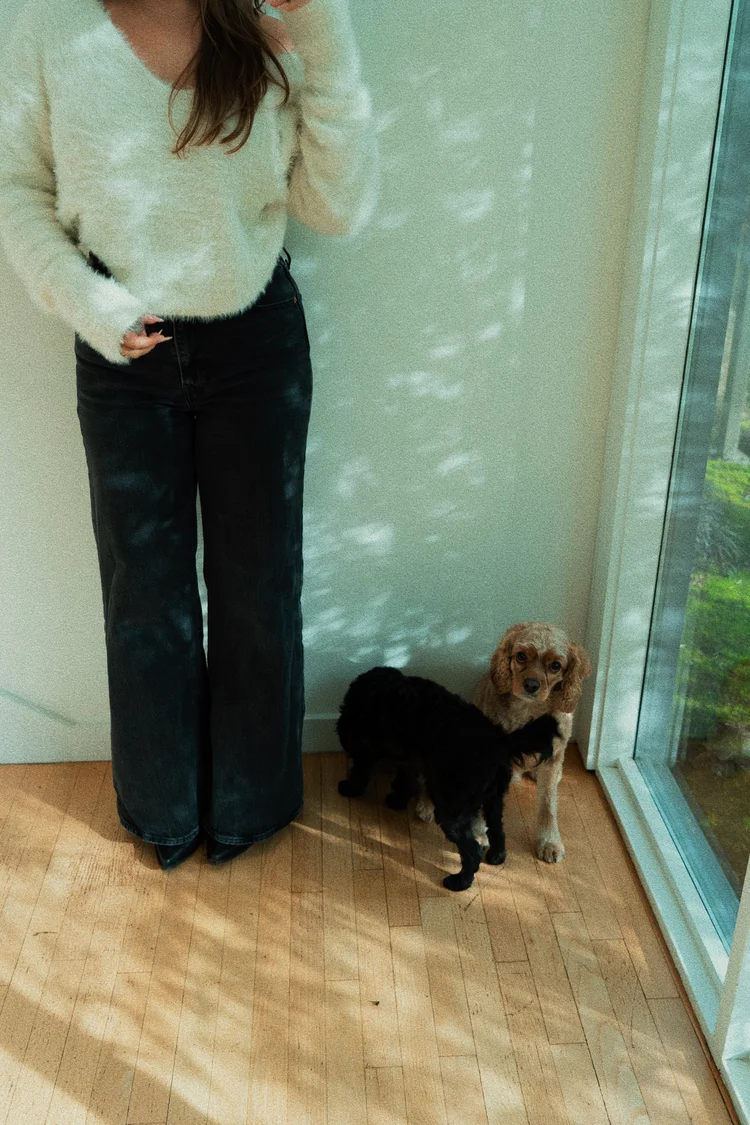 How to Build a Home Video Studio: A Step-by-Step Guide — Numinous