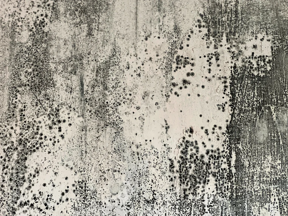 Stucco Repair — JM Inc Masonry and Home Repair