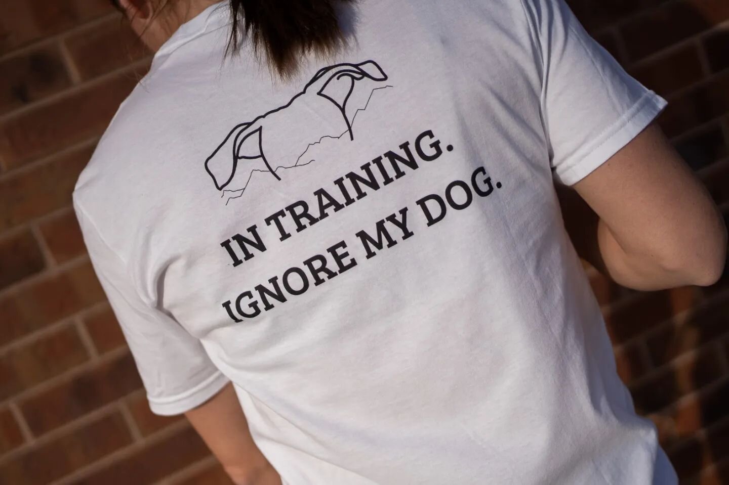 The Colorado Dog Pack