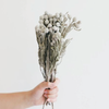 Emma Rose Branding for Florist | Brand Identity & Content Strategy ...