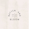 Emma Rose Branding for Florist | Brand Identity & Content Strategy ...