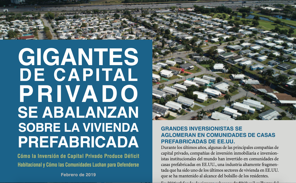 Reports — MHAction