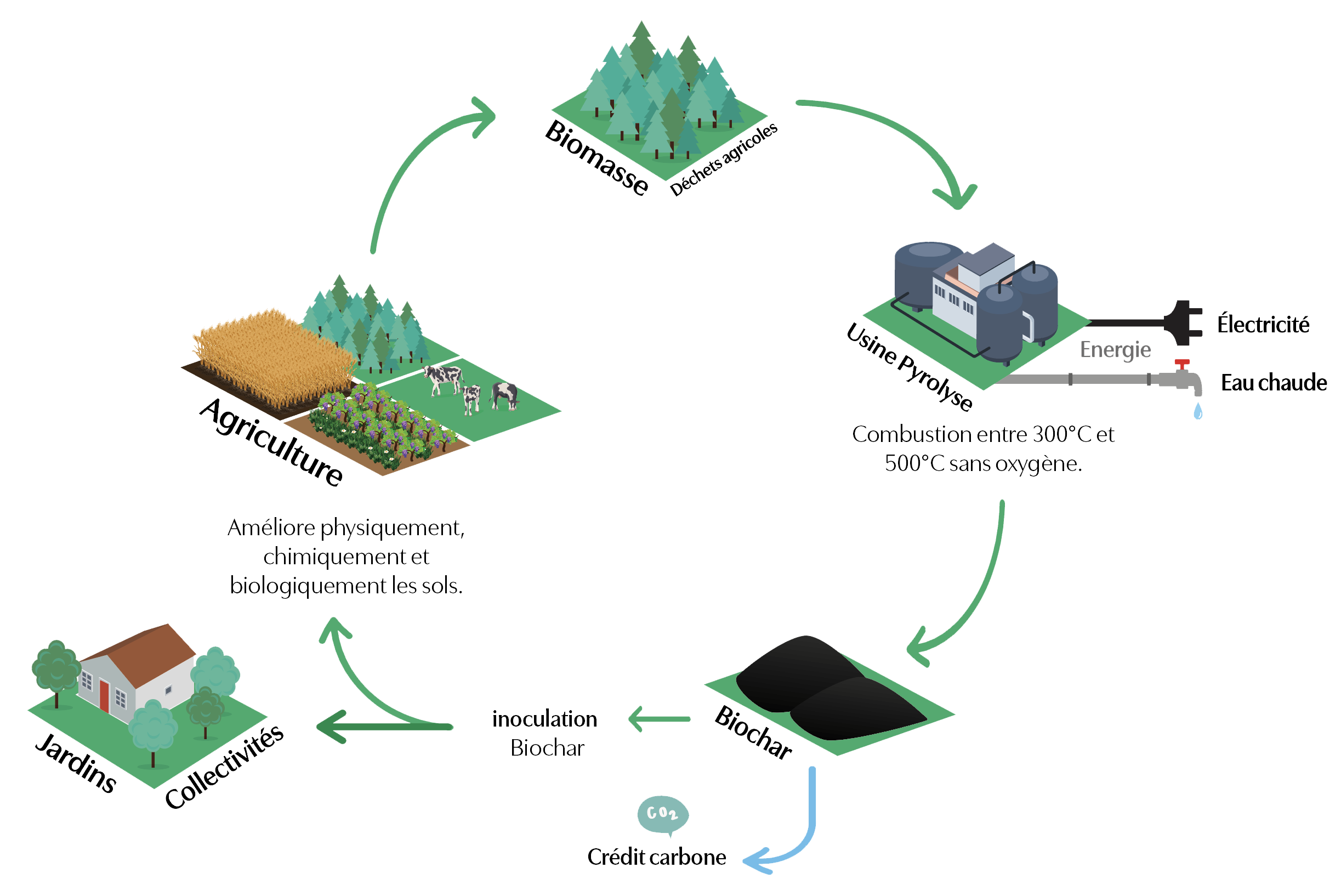 Qu’est ce que le biochar ? — Sinecarbon