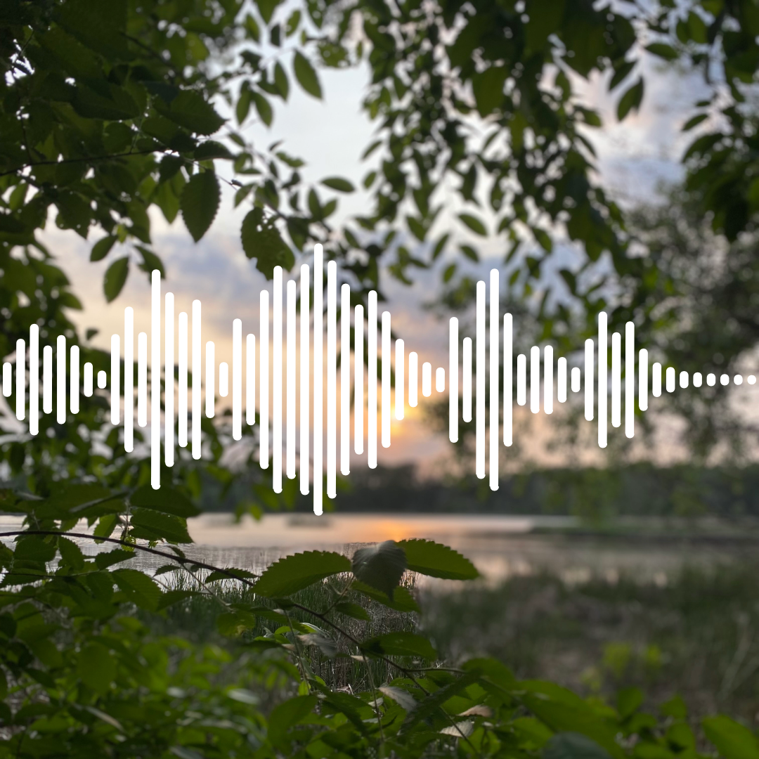 Eco-Music & Nature Soundscapes Playlist | Where Earth Sings — Matthew Hiram