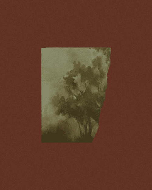 David Brazier Art: Tranquil Color Palettes for Timeless Creations