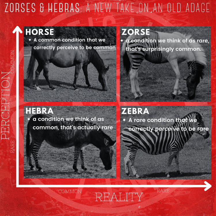 #5 Zorses & Hebras: A New Take on an Old Adage — Critical Care Time