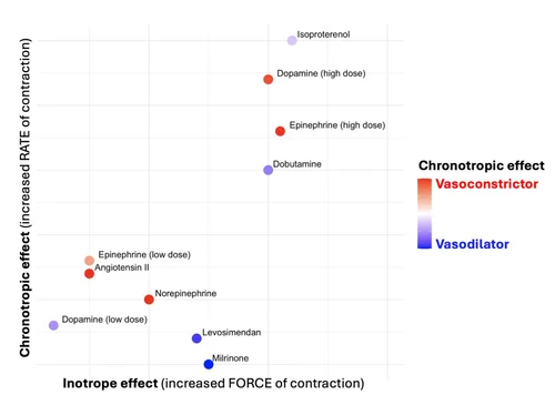 #36 Inotropes — Critical Care Time