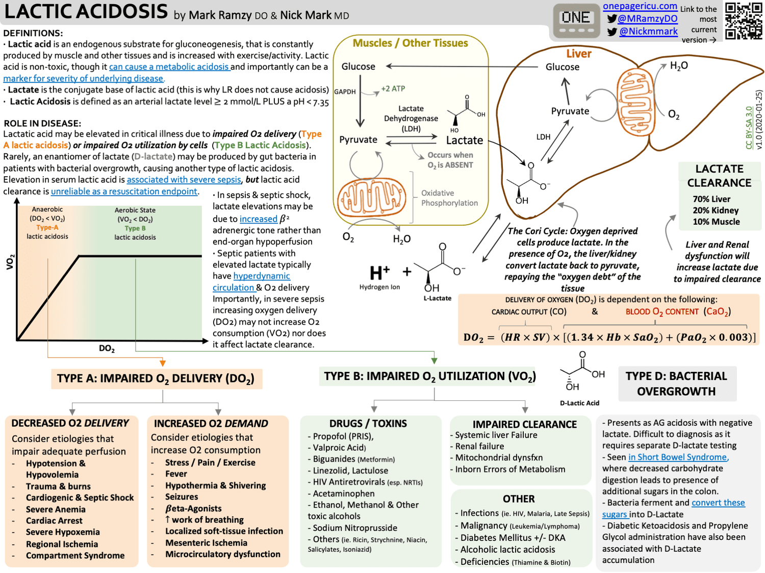 #53 Lactate & Lactic Acidosis — Critical Care Time