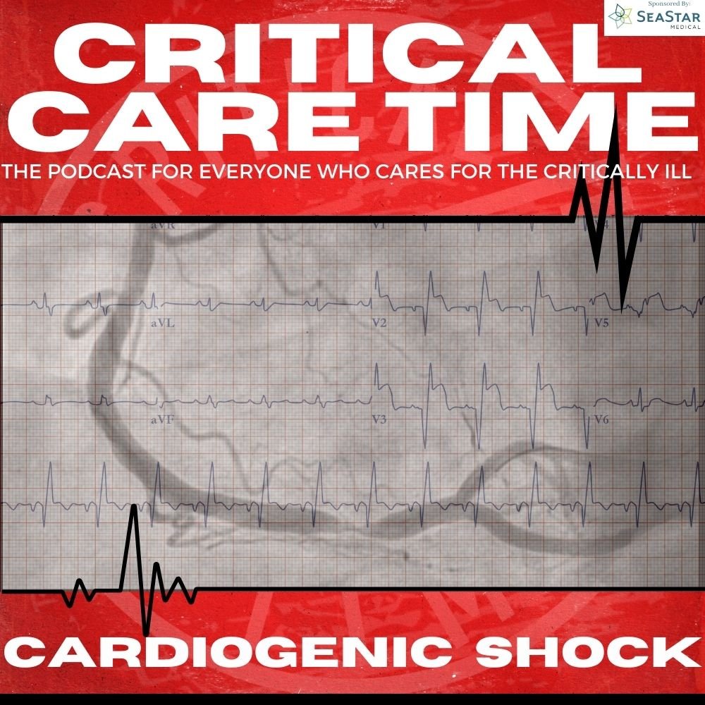 Episodes — Critical Care Time