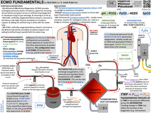 #42 ECMO — Critical Care Time