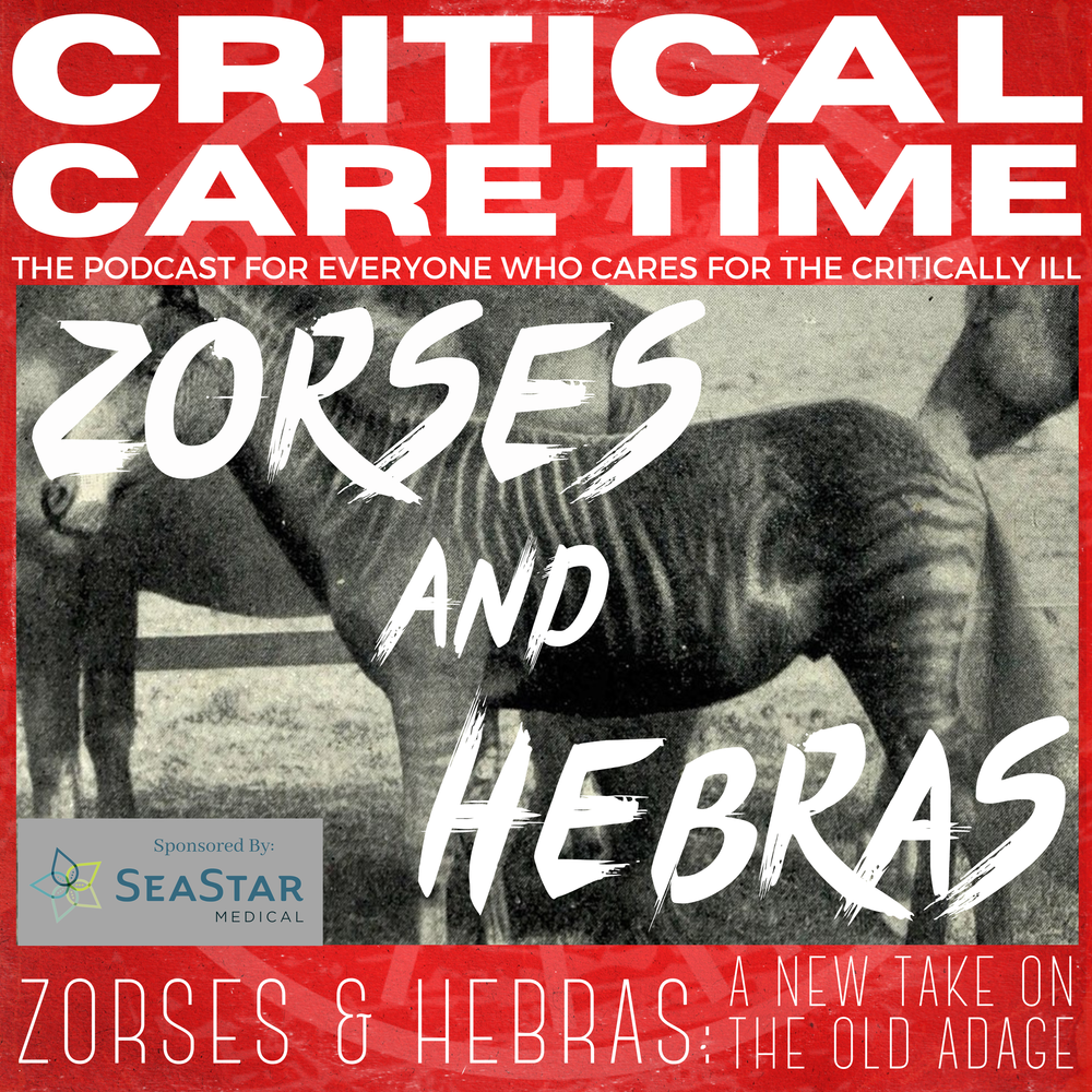 #5 Zorses & Hebras: A New Take on an Old Adage — Critical Care Time