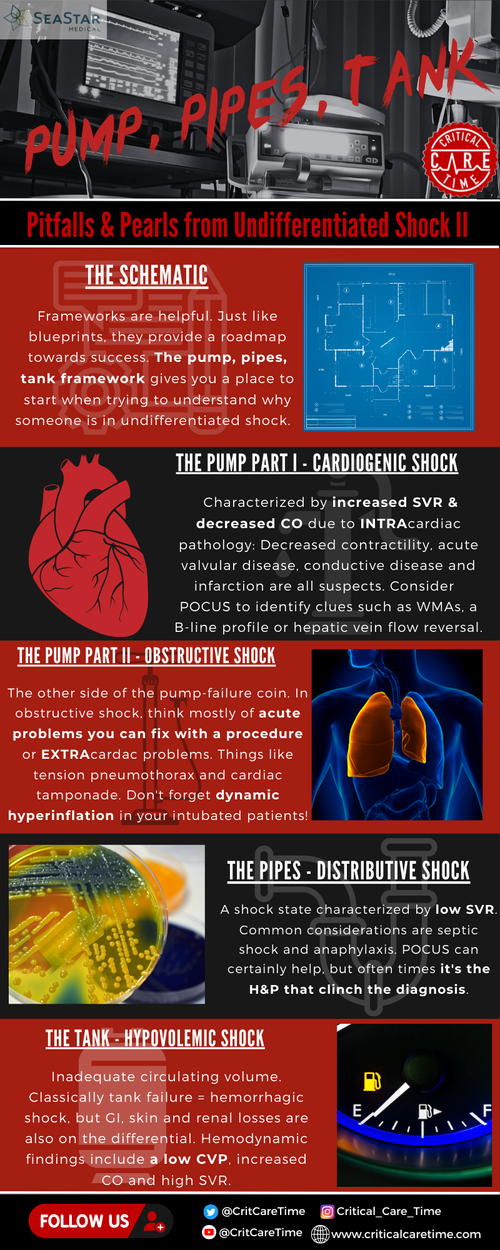 #2 Undifferentiated Shock Part 2 — Critical Care Time