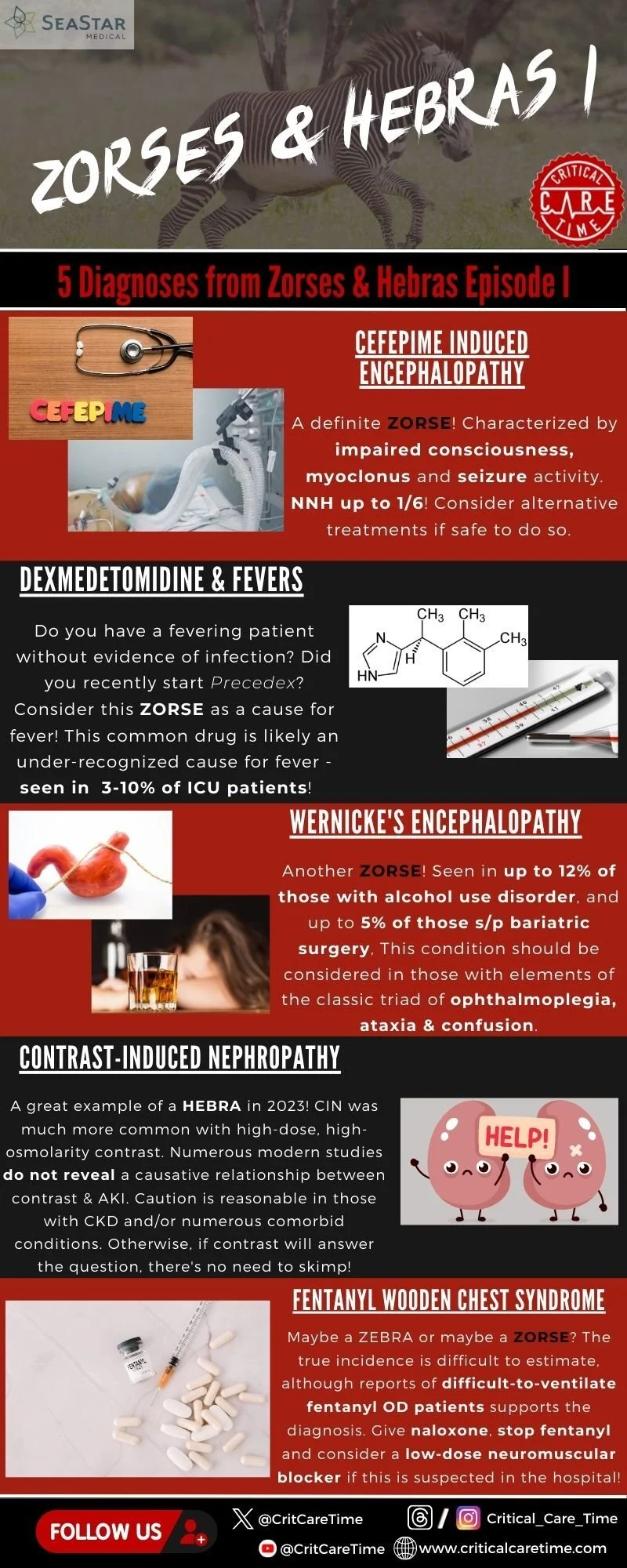 #5 Zorses & Hebras: A New Take on an Old Adage — Critical Care Time