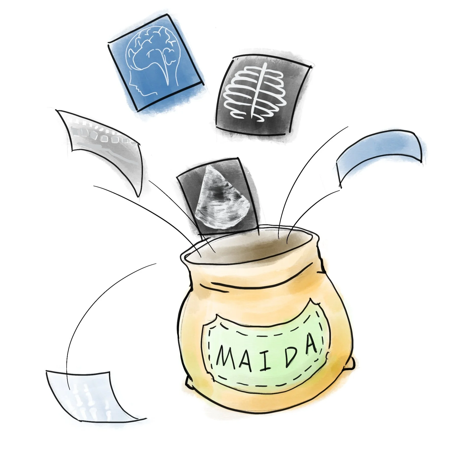 MAIDA - Medical AI Data For All Initiative — Rajpurkar Lab