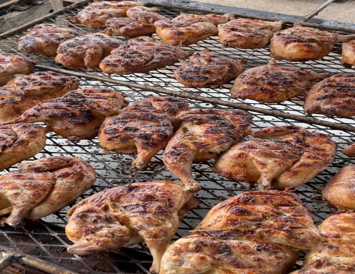 Market Corner — Holly Poultry