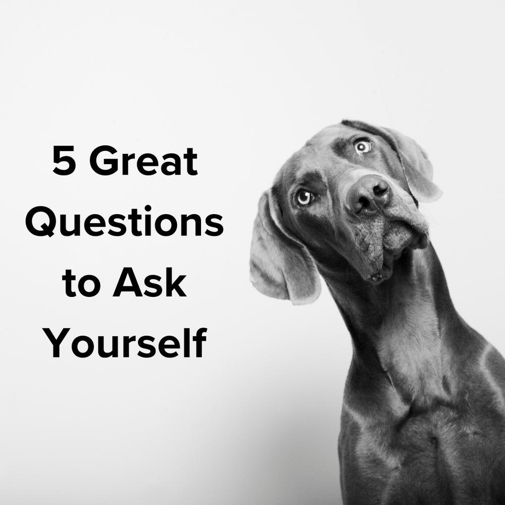 5 Great Questions to Ask Yourself — Scaled Finance