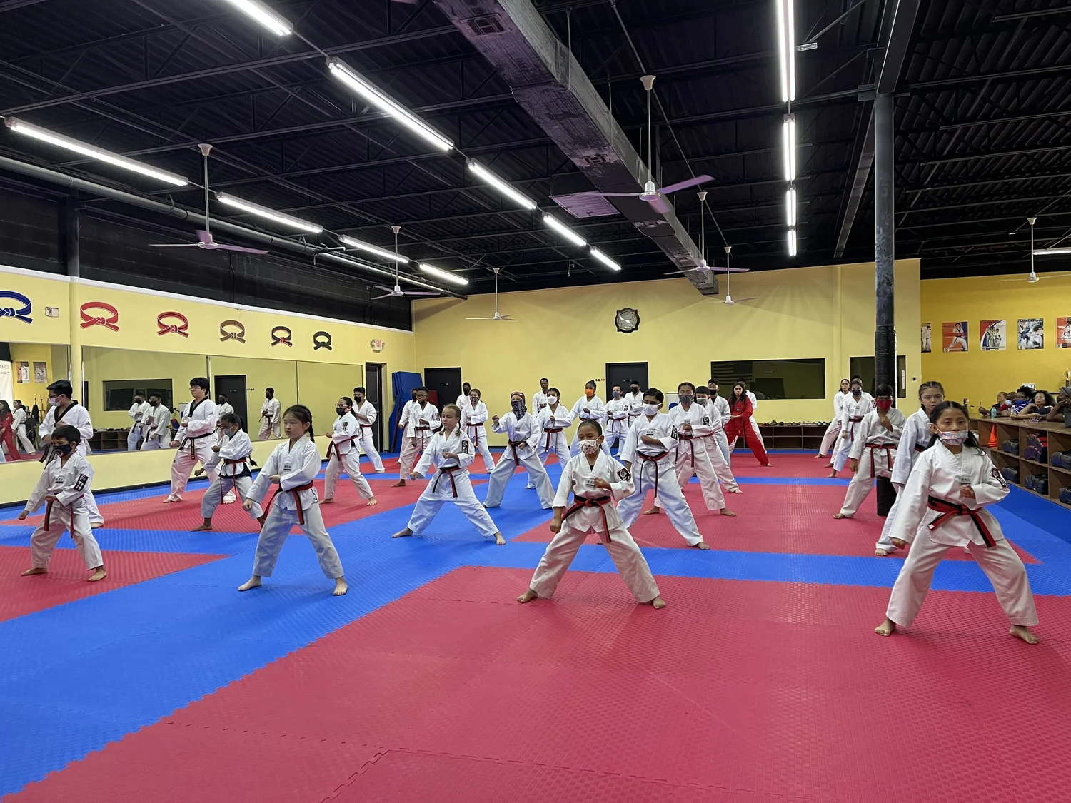 White Tiger Taekwondo