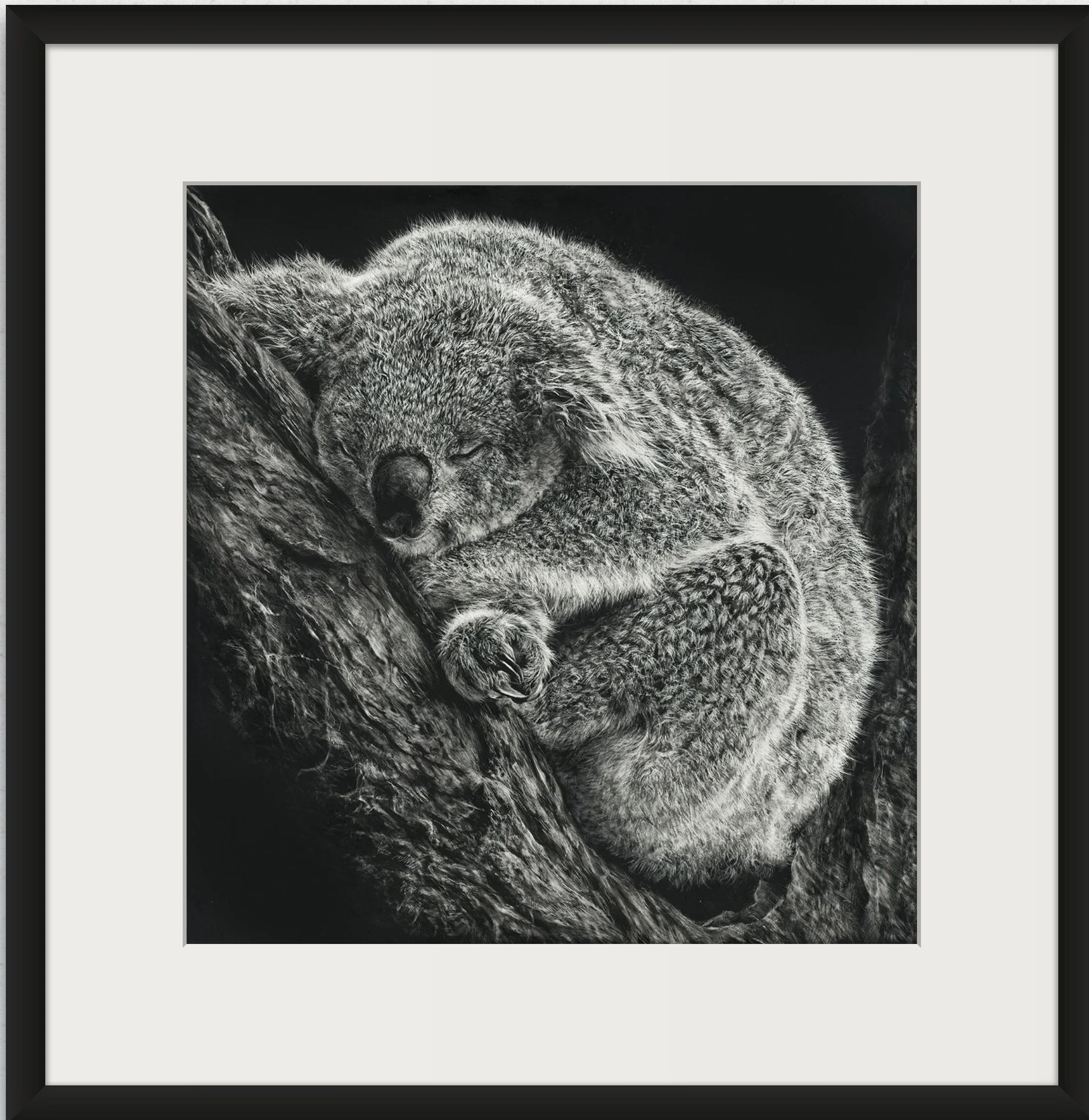 animal — Artwork | Explore, Discover, Acquire — Northern Beaches Gallery