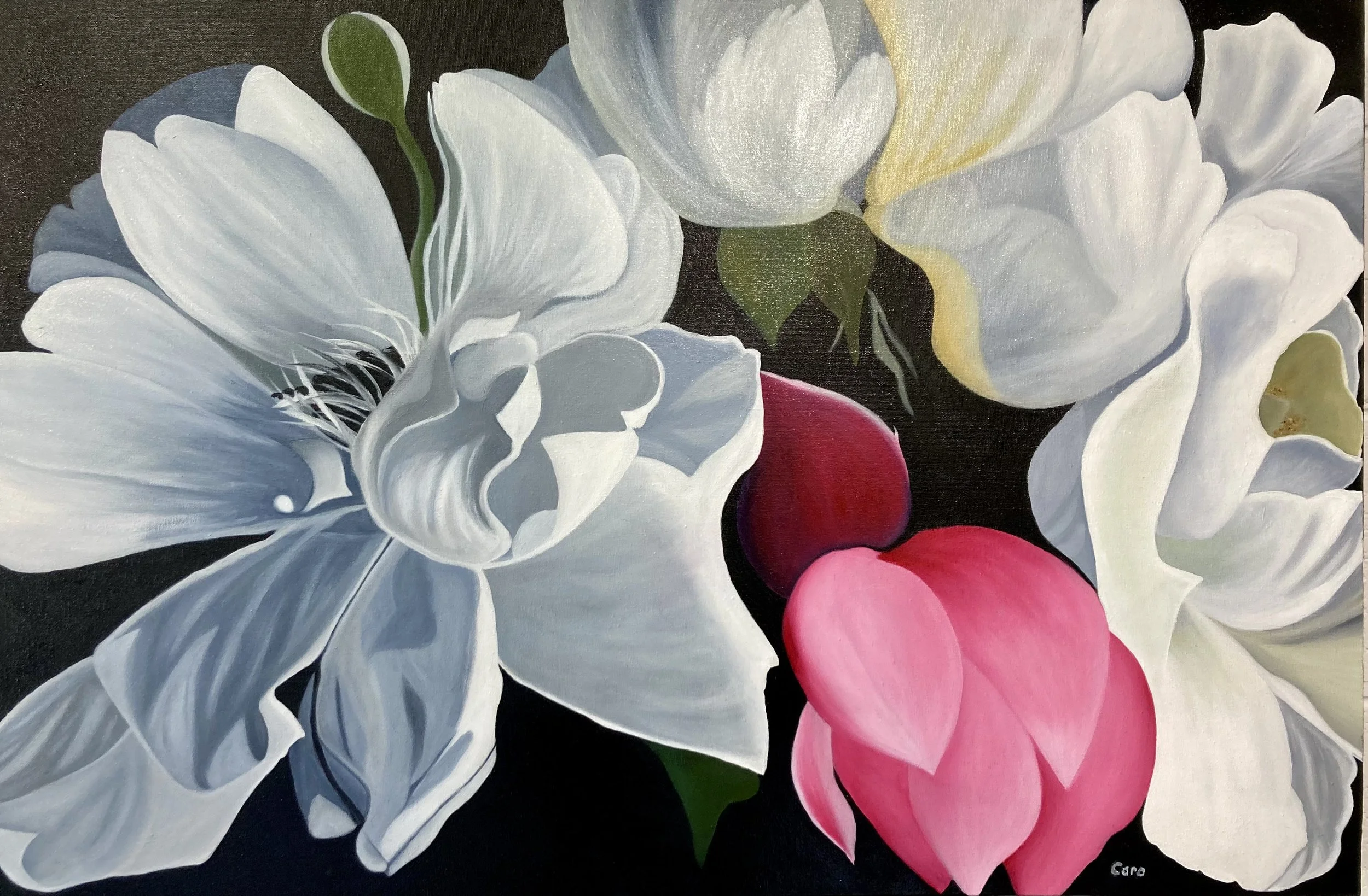 Artists — Northern Beaches Gallery