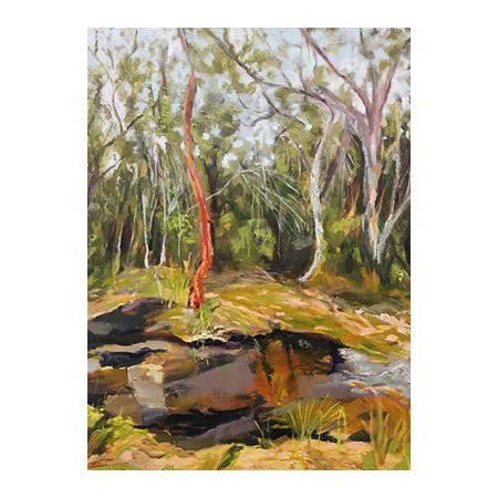 Stunning — Northern Beaches Gallery