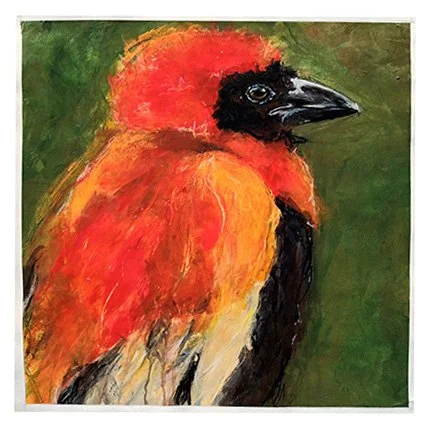 Africa Exhibition — Northern Beaches Gallery