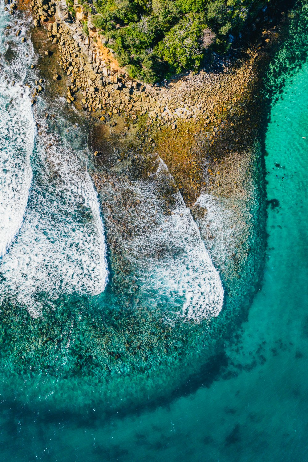 Reefs Edge — Northern Beaches Gallery