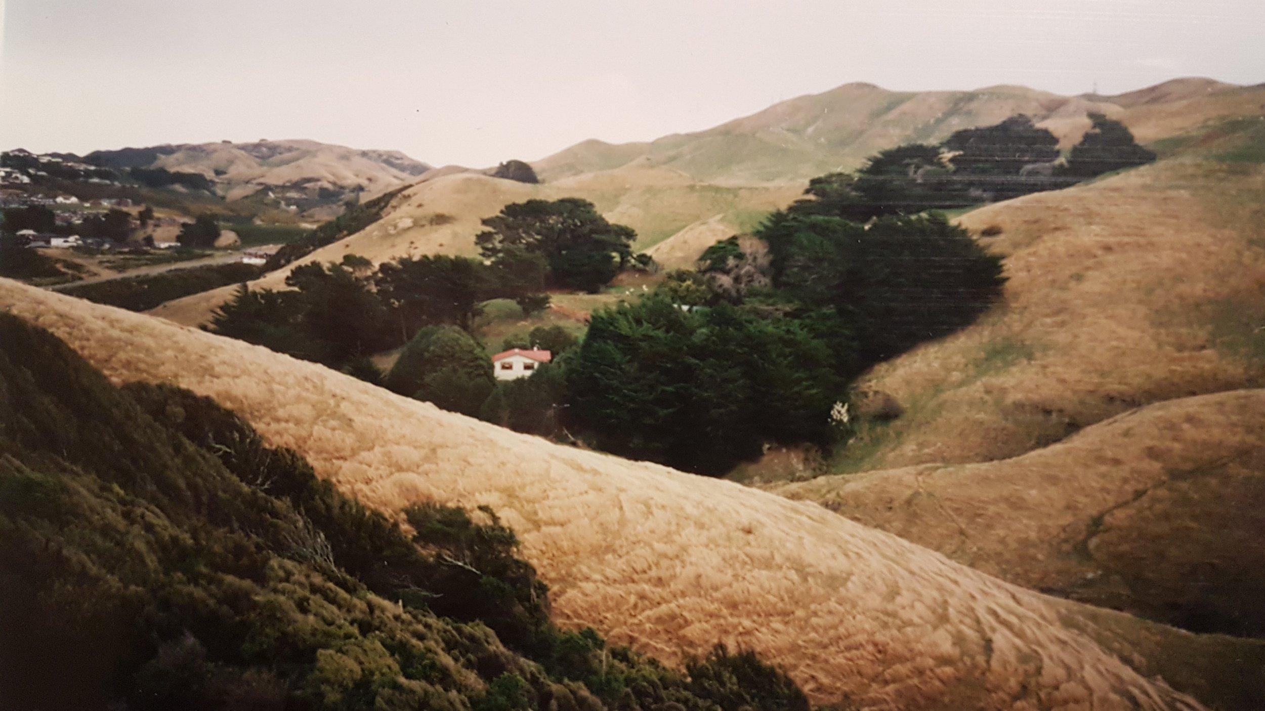 Churton Park Info