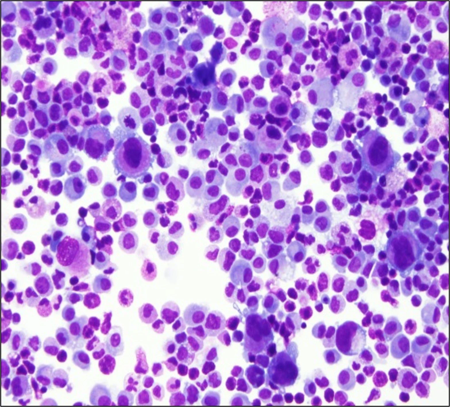 The Buffone Lab @ NJIT