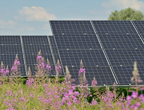 Soltaic