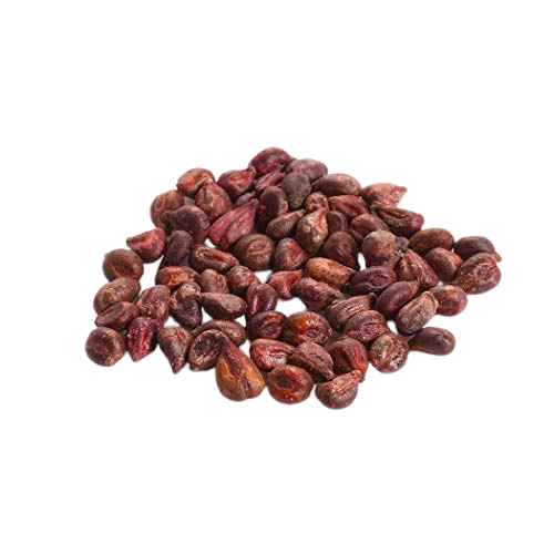 SO+Plus — AXXA Global