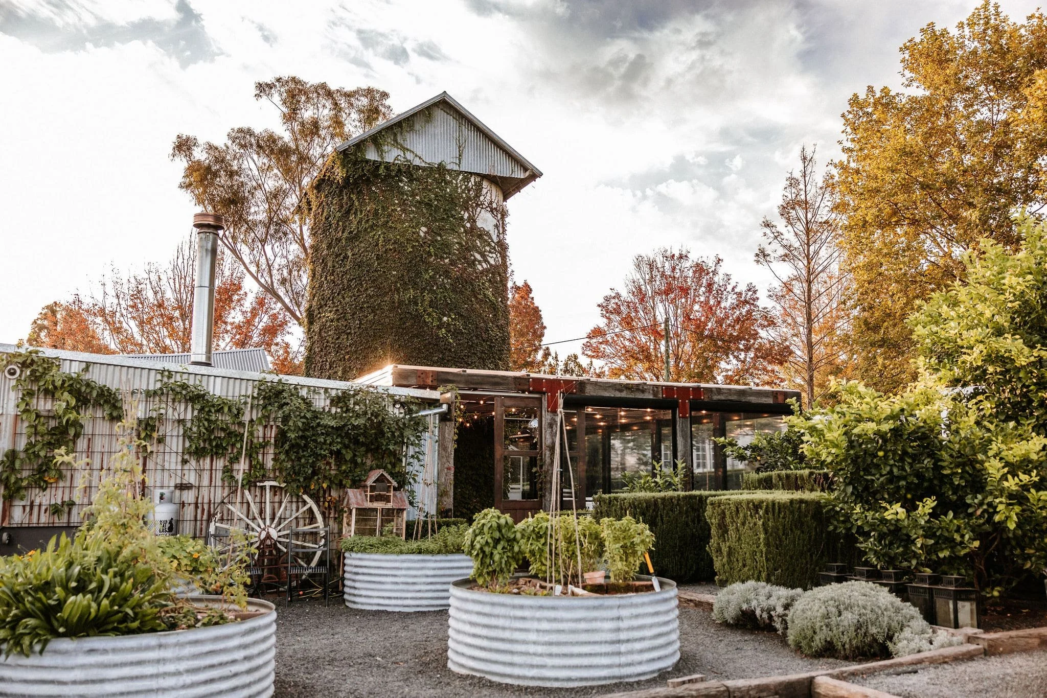 The Homestead Berry — Love A Fair