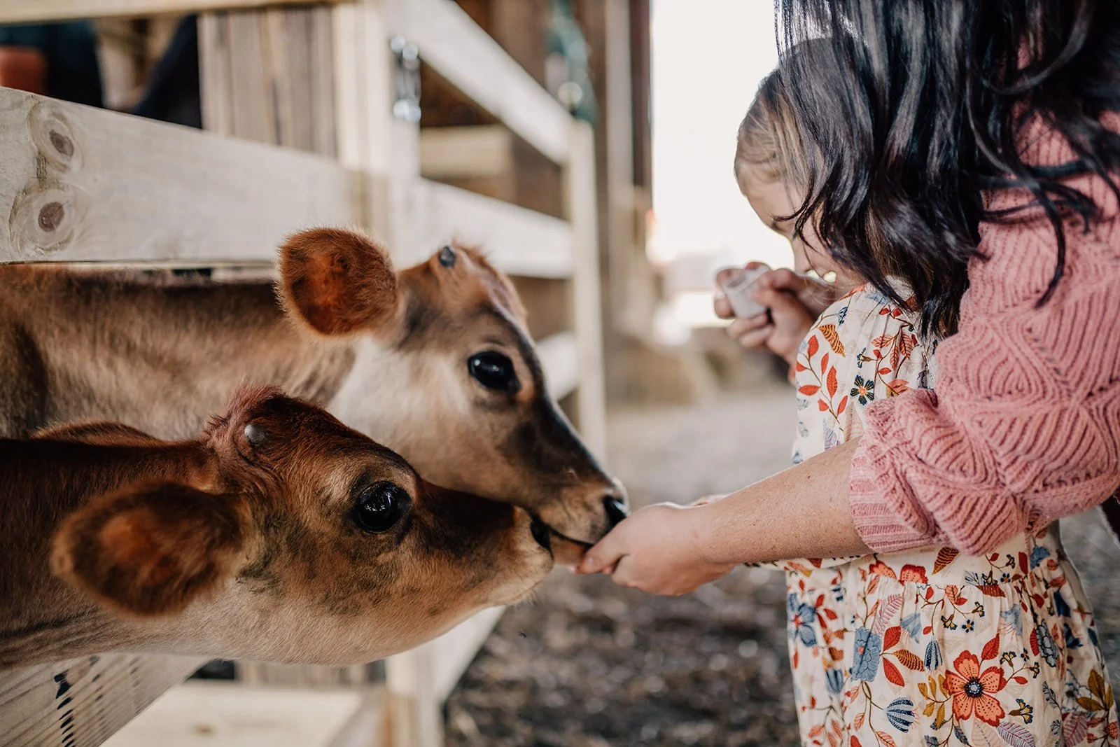 Fall Season — The Hunter Farm