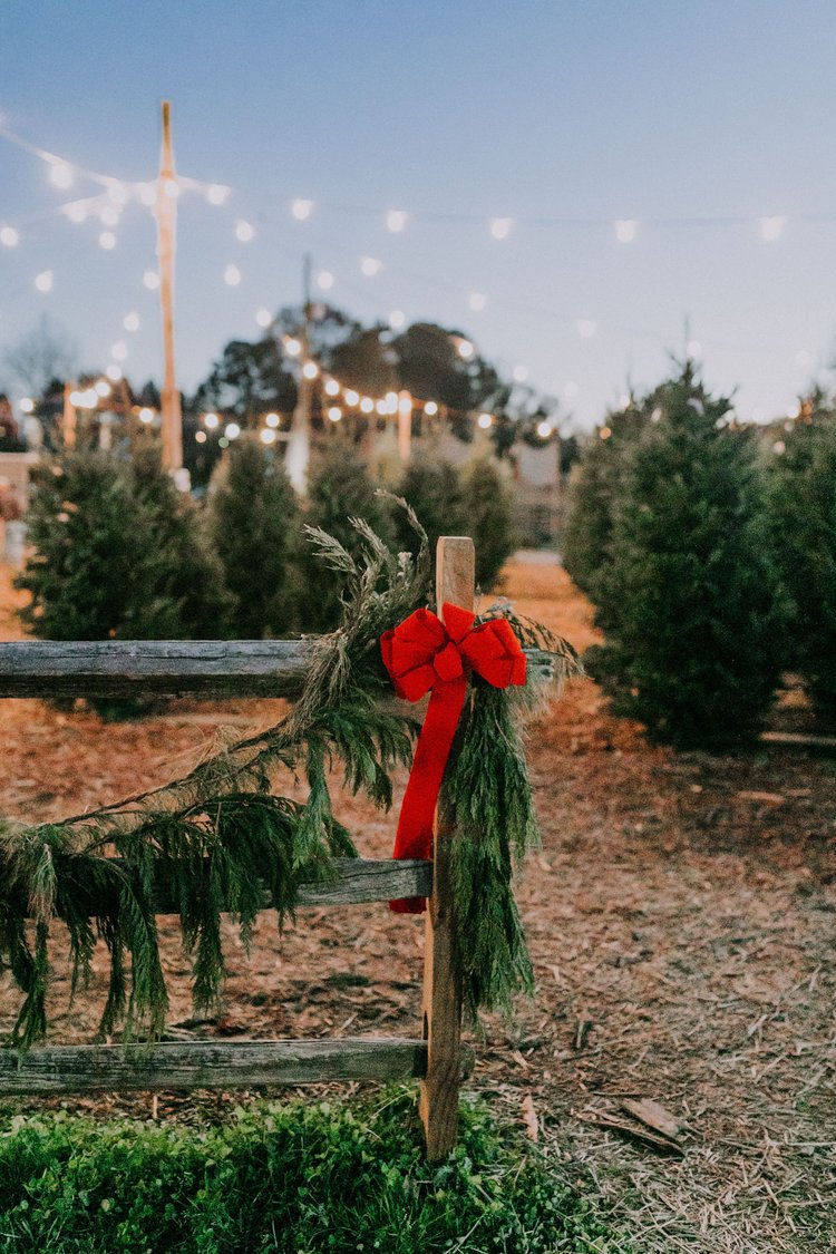 Winter Season — The Hunter Farm