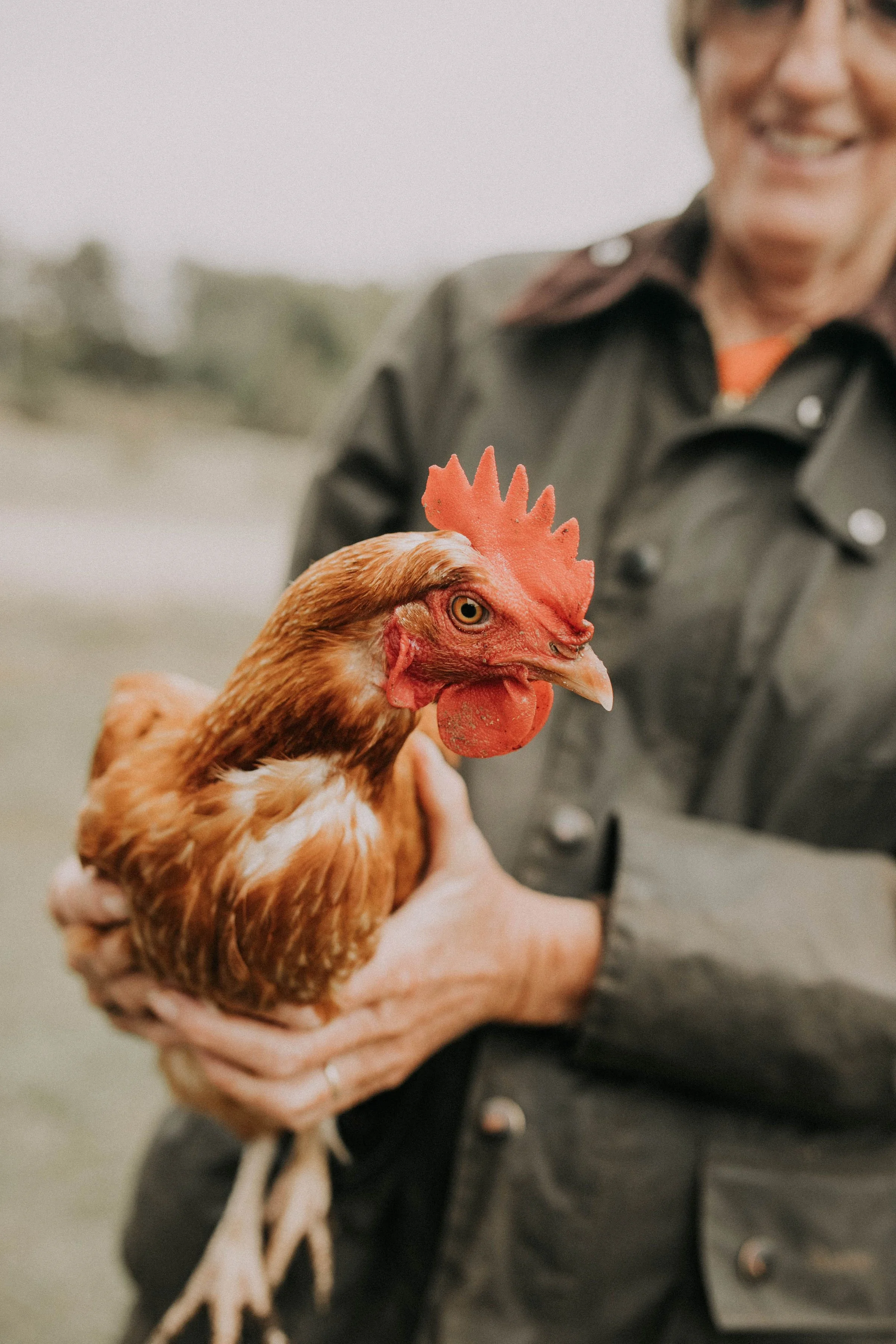 Fall Season — The Hunter Farm