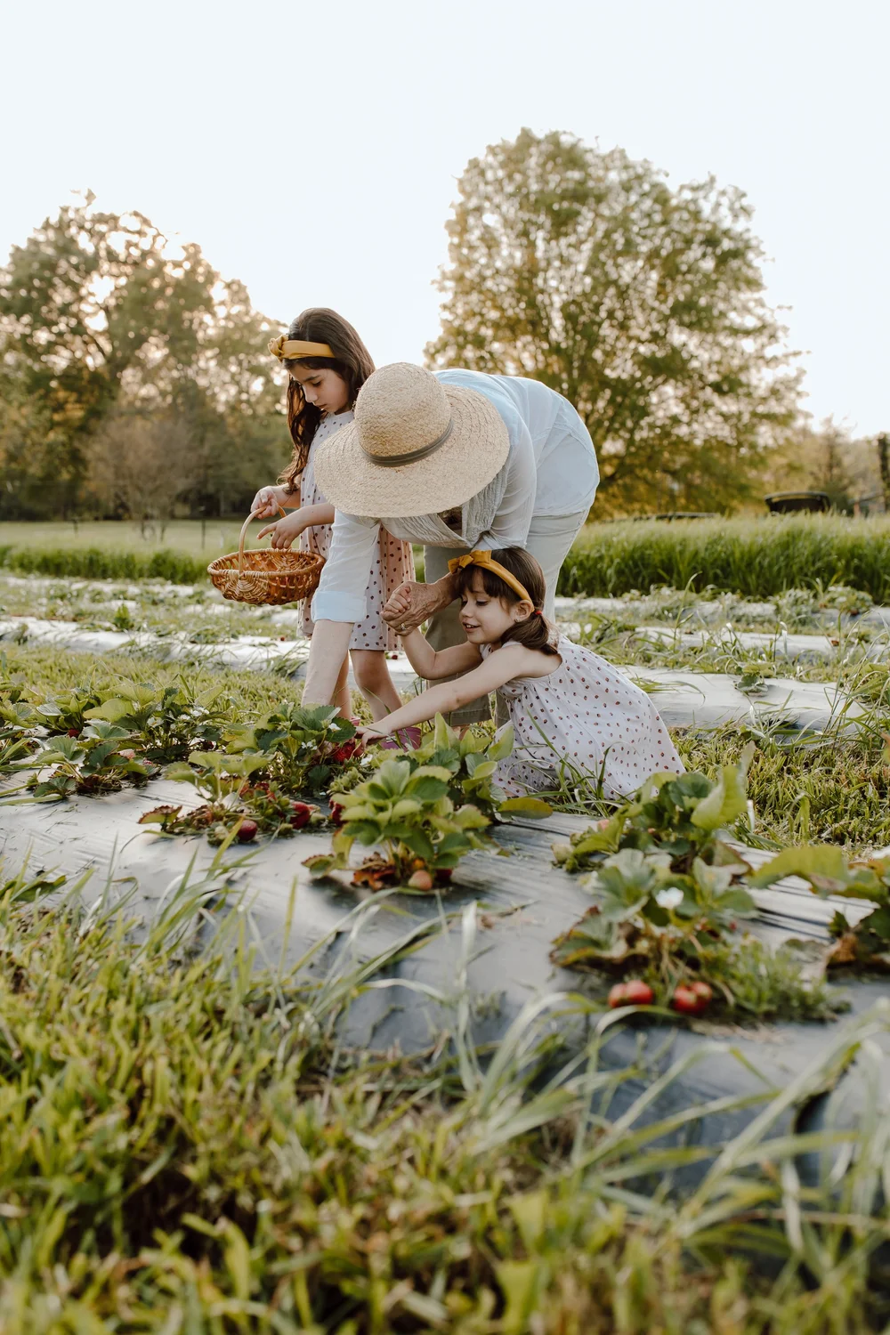Spring Season — The Hunter Farm