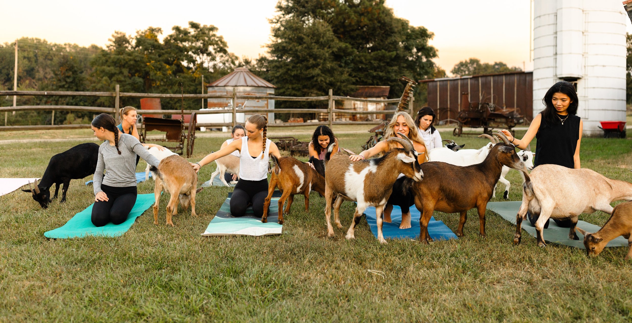 Goat Yoga — The Hunter Farm