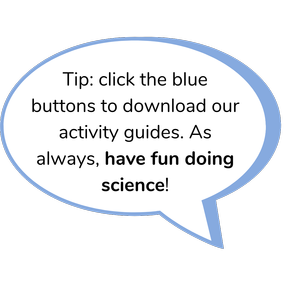 Services — Kids Doing Science