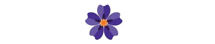 Violet Foundation