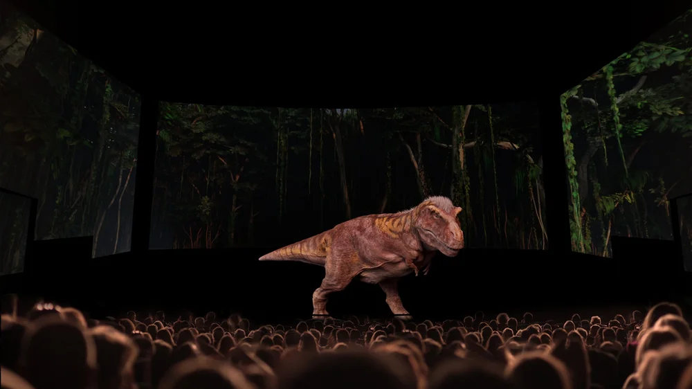 Dinosaur Discoveries