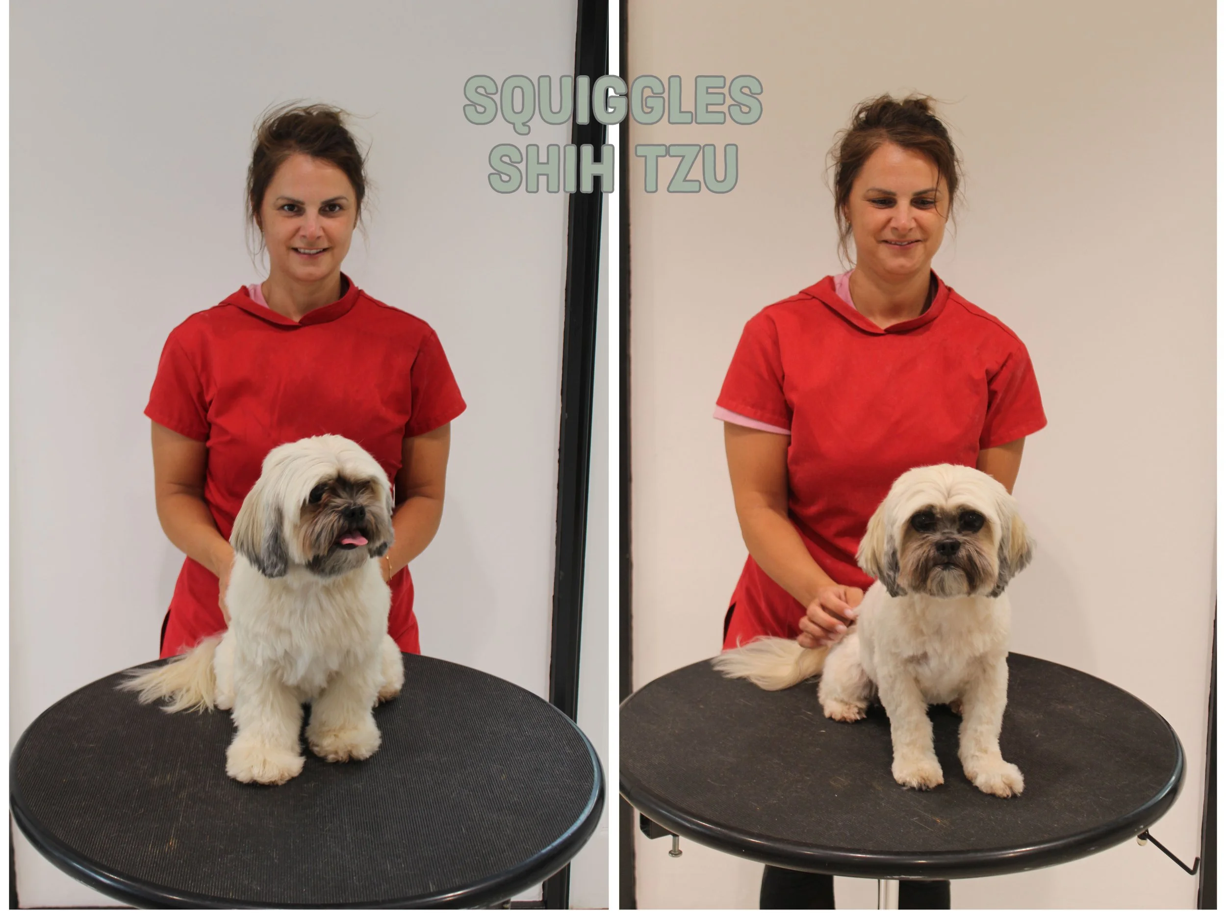 Training Portfolio — Godfrey Grooming