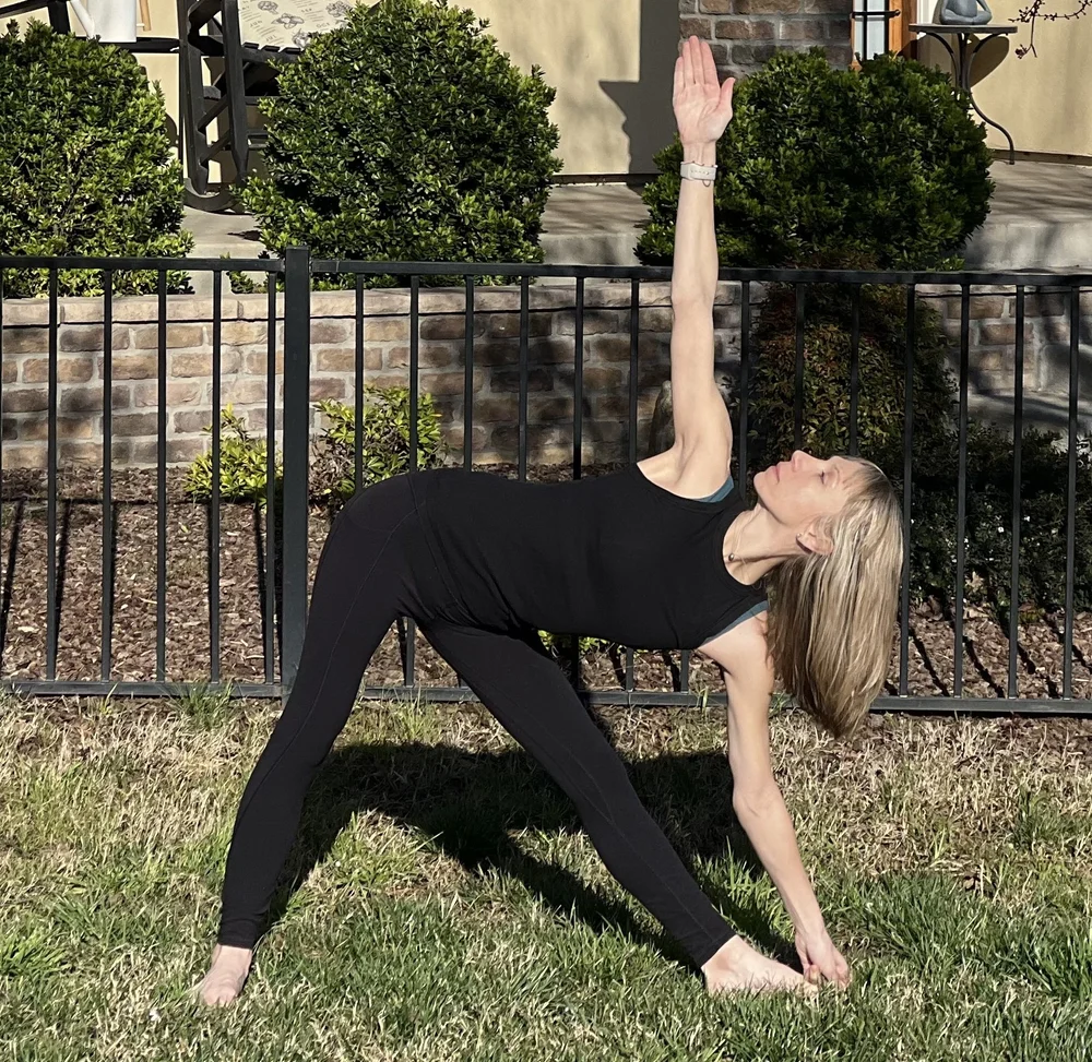 Radiant Yoga El Dorado Hills-Workshops & Trainings — Radiant Yoga