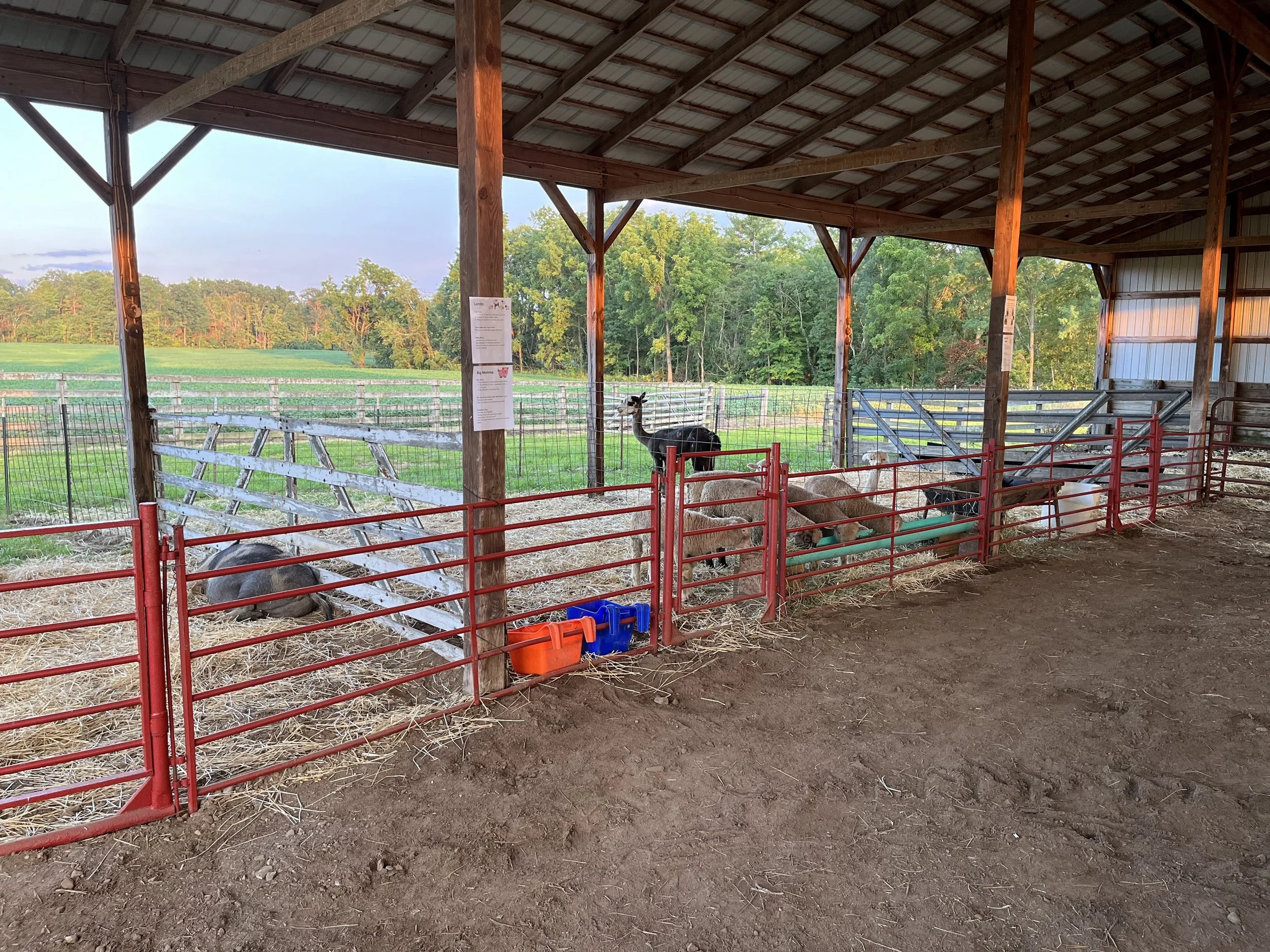 About — Goodman Stock Farms