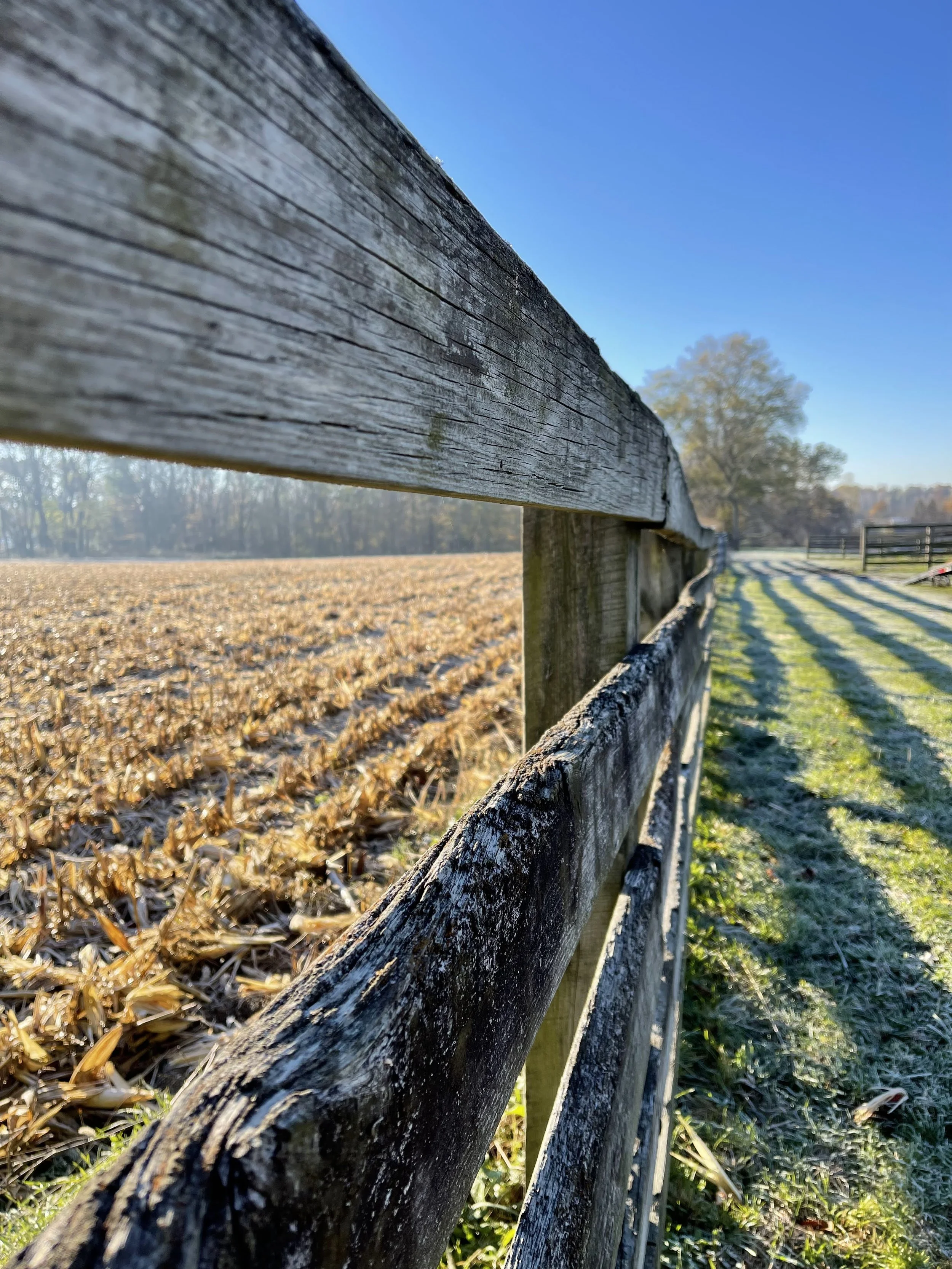 About — Goodman Stock Farms