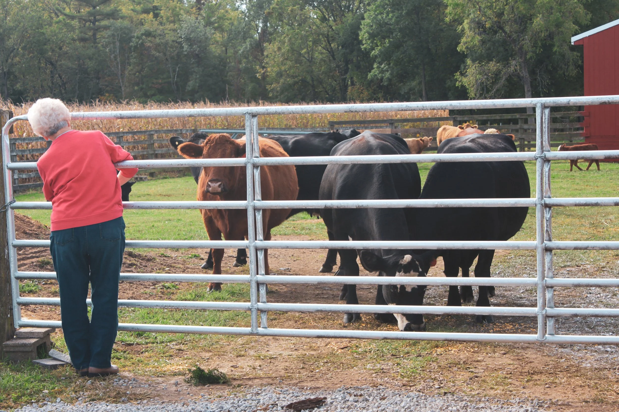 About — Goodman Stock Farms