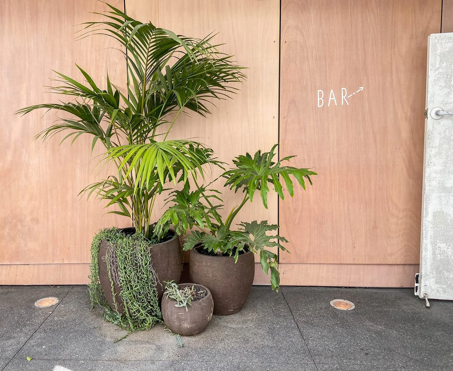 NJ IN LA | Hotel June Los Angeles