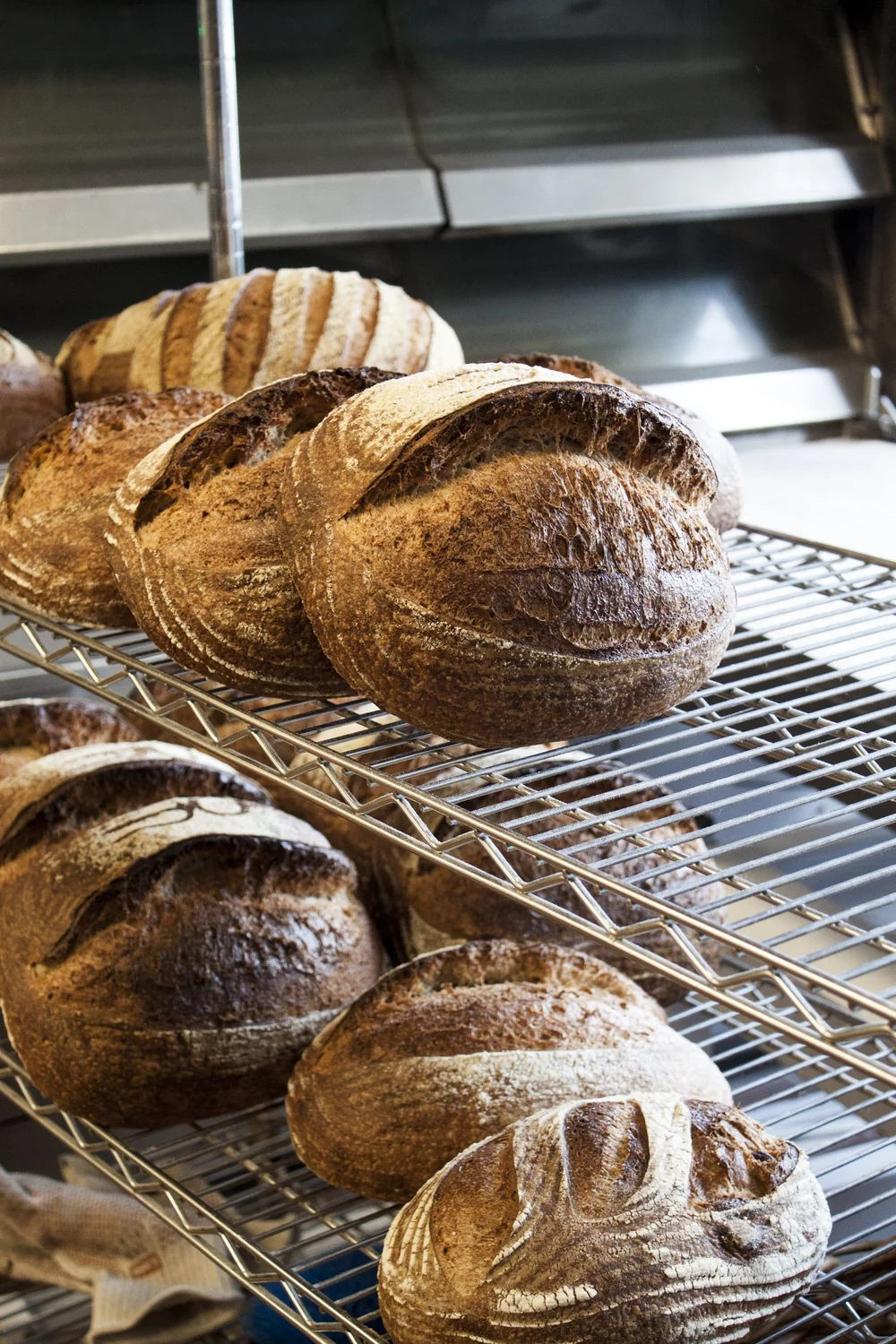 NJ IN LA | Bob's Well Bread Bakery