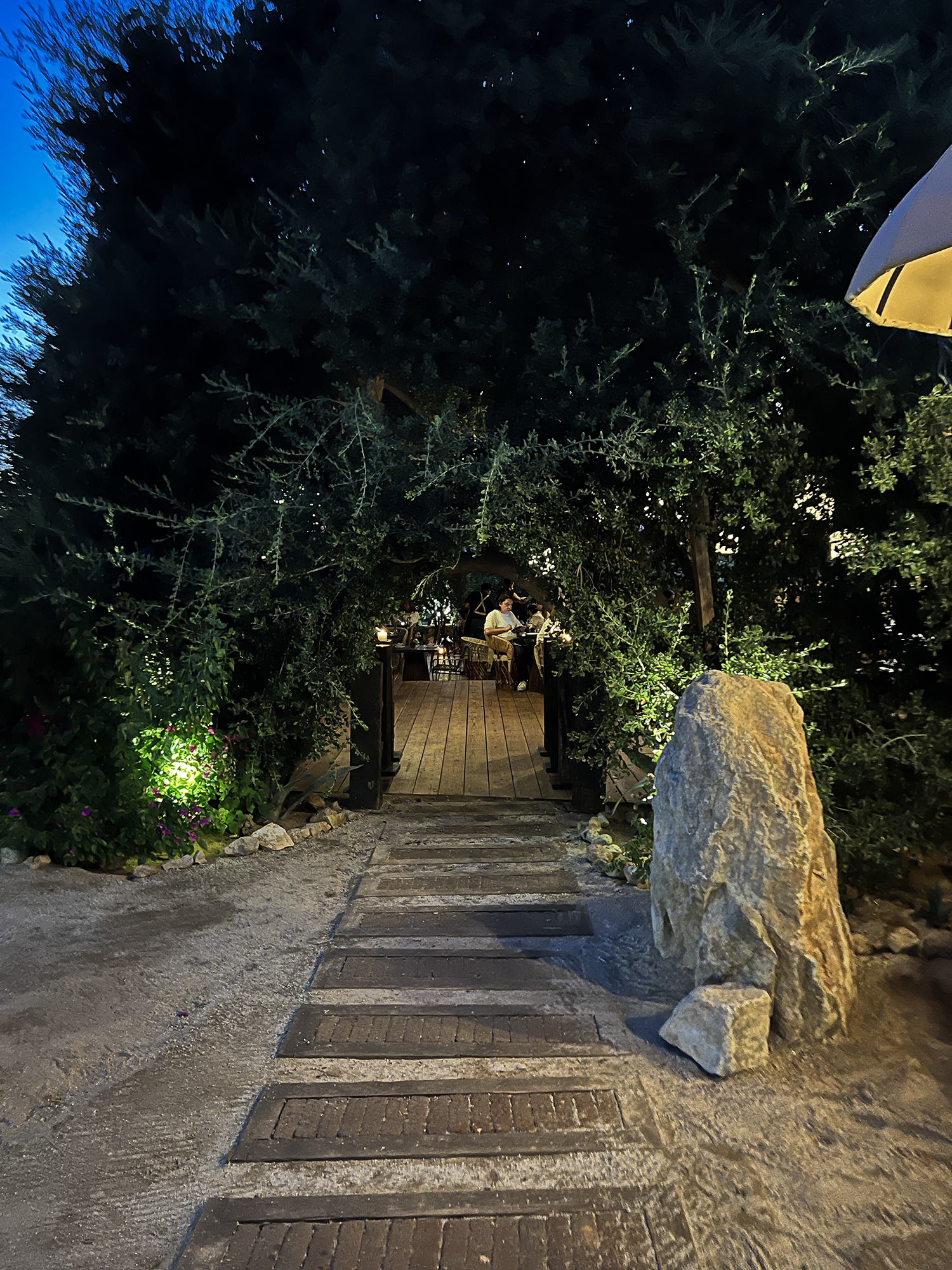 NJ IN LA | Under the Oak Tree: Dining at Animalón in Valle de Guadalupe