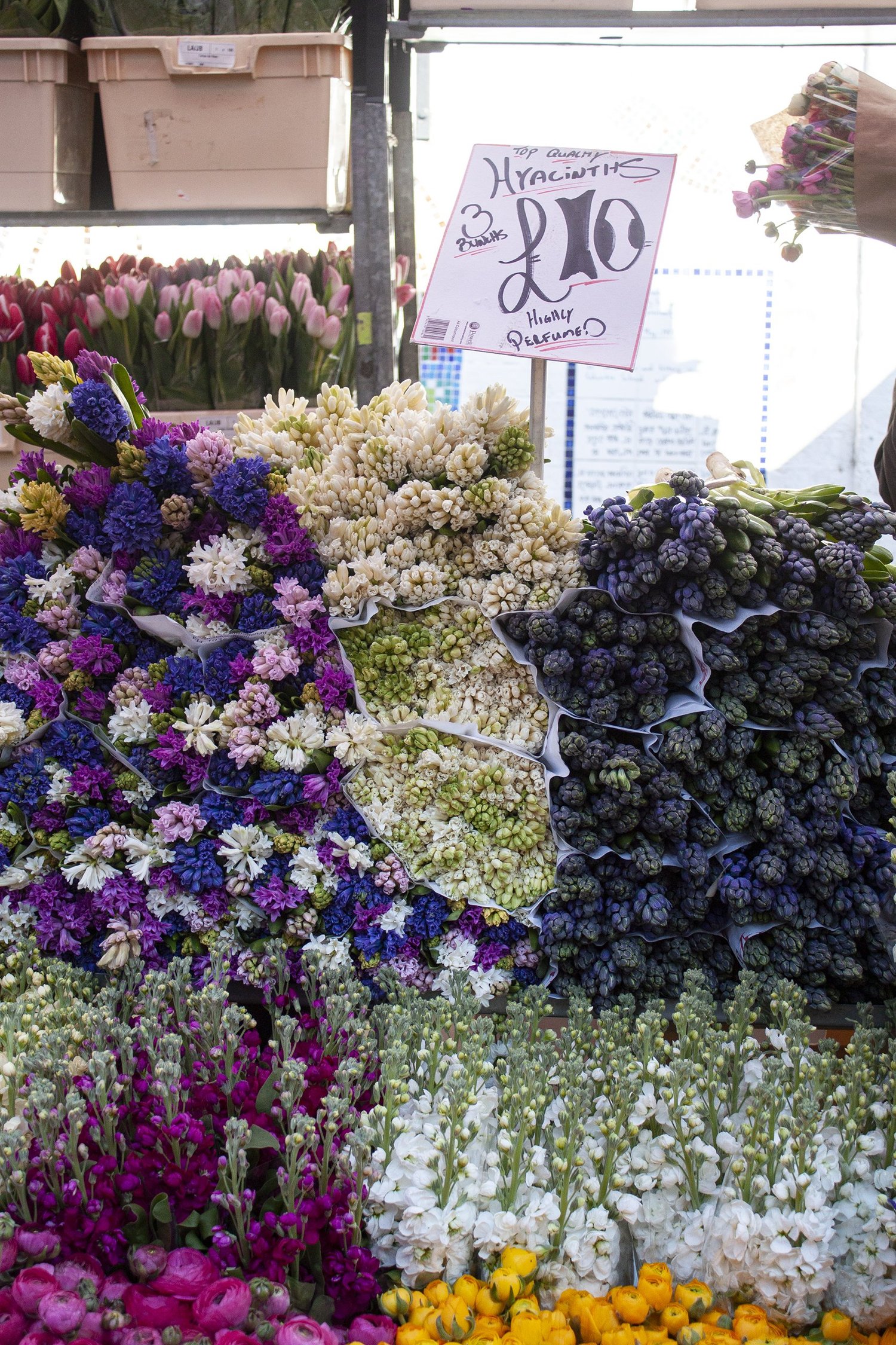 NJ IN LA | Columbia Road Flower Market - Exploring One of London’s ...