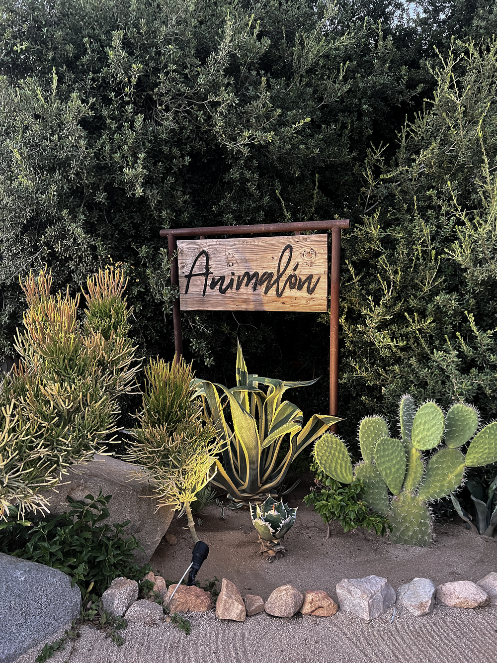NJ IN LA | Under the Oak Tree: Dining at Animalón in Valle de Guadalupe